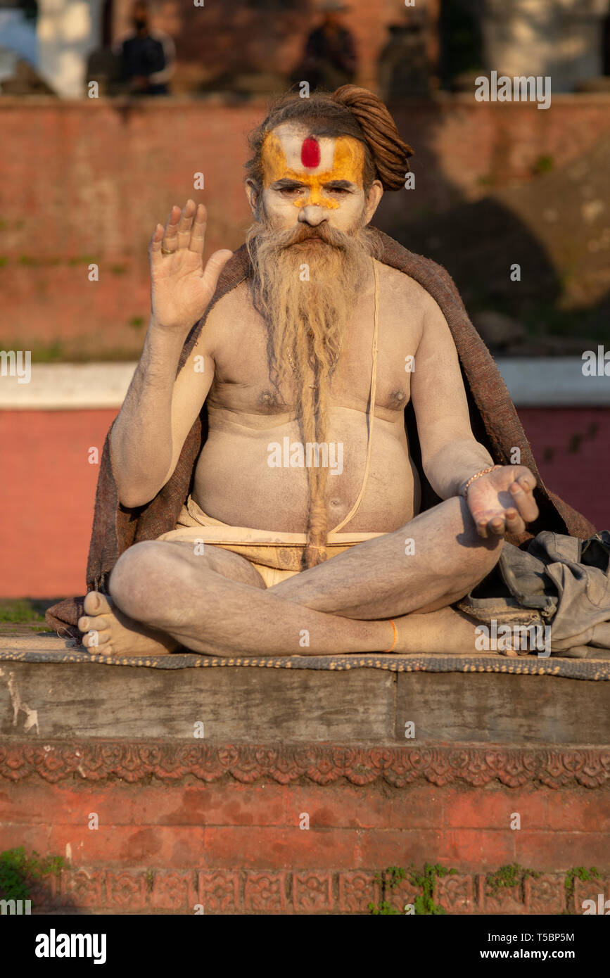 Jogi hi-res stock photography and images - Alamy