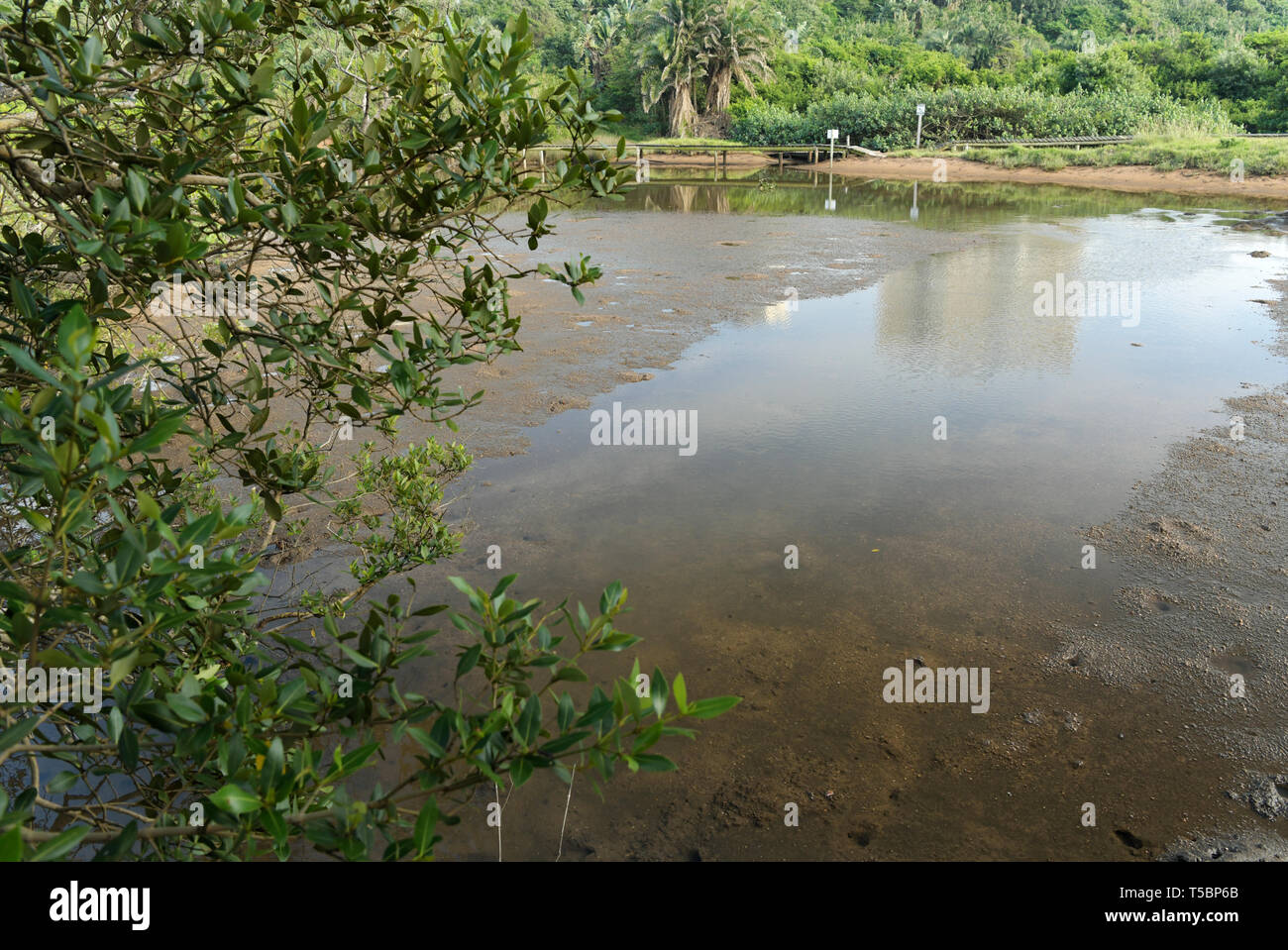 Umgeni estuary hi-res stock photography and images - Alamy