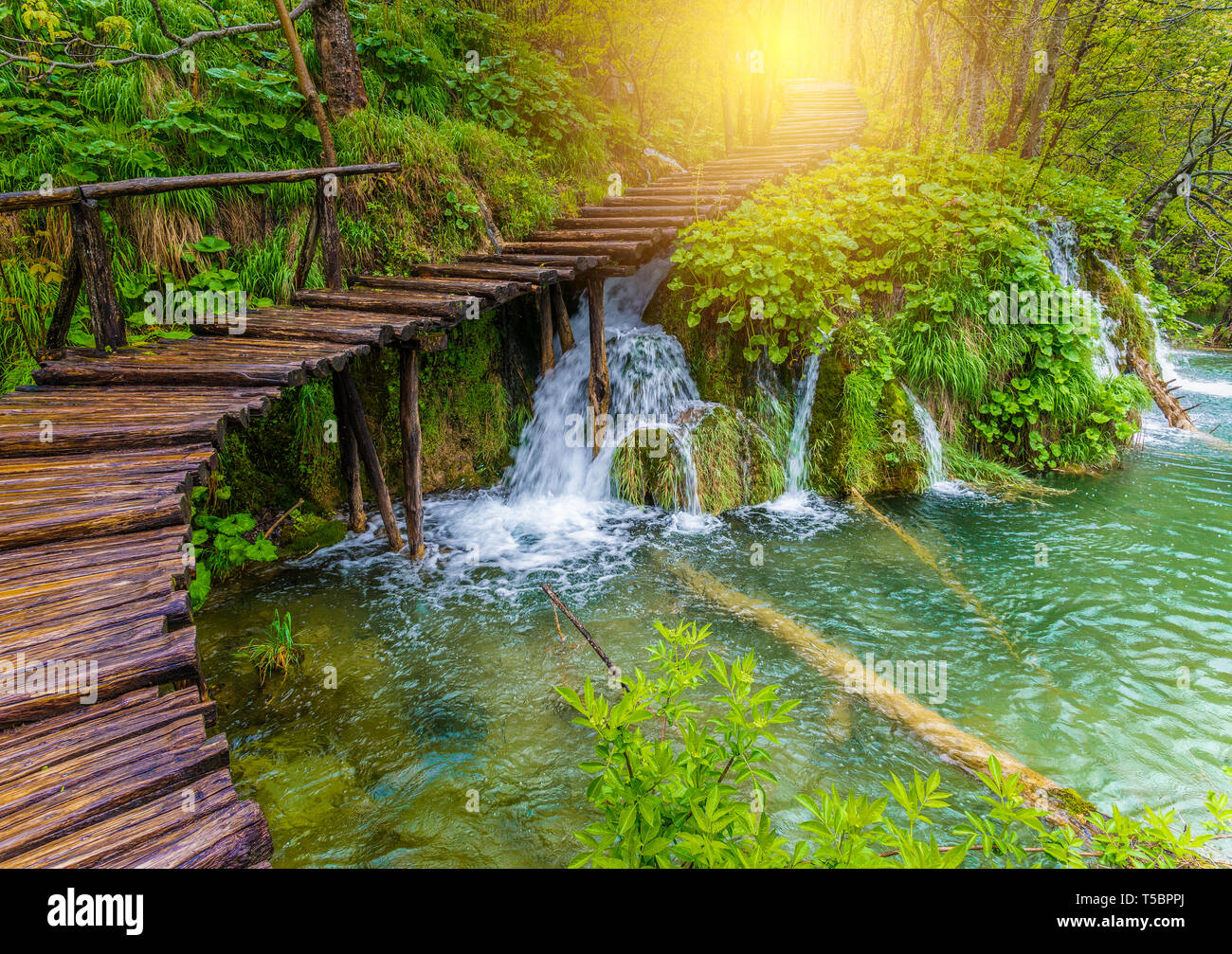 Rainy day and tourist walk in Plitvice lakes national park, Croatia ...