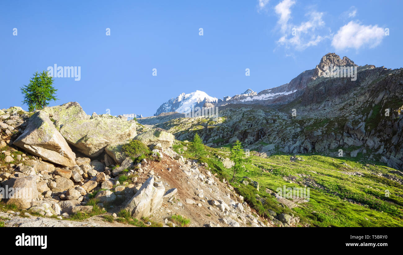 Summer landscape. Glacier Mer de Glace, Mont Blanc Massif, Chamonix ...