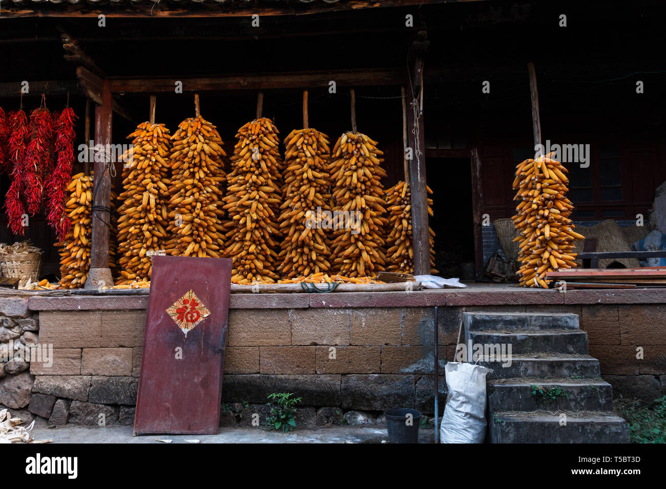 Stored corn hi-res stock photography and images - Alamy