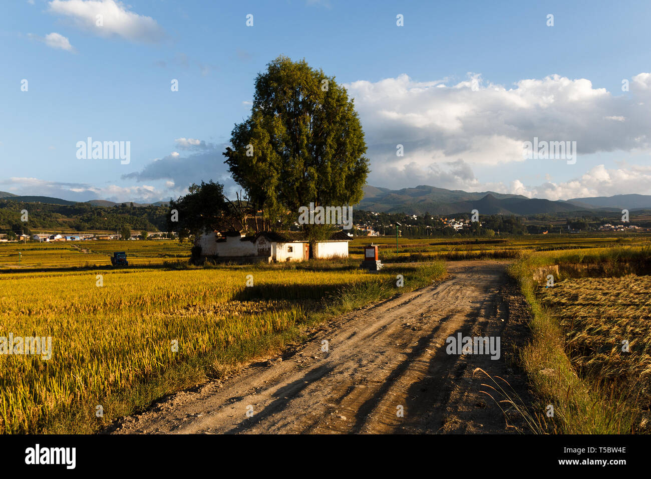 Baizu hi-res stock photography and images - Alamy