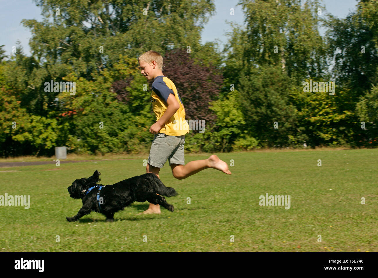 young boy walking his dog Stock Photo - Alamy