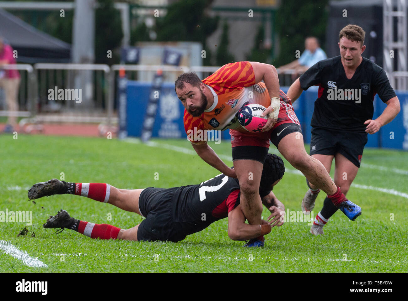 Luke van der smit hi-res stock photography and images - Alamy