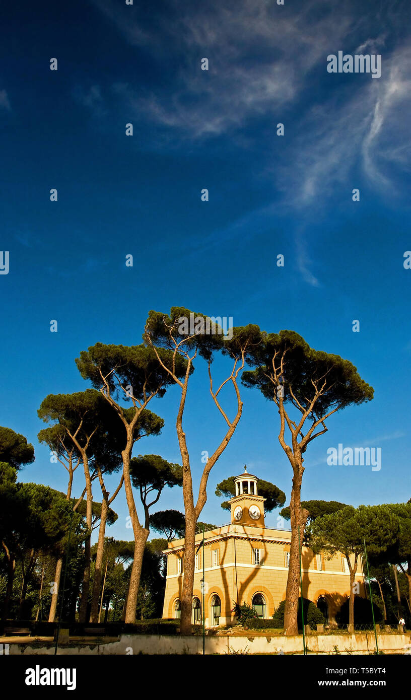 The tree of life rome hi-res stock photography and images - Alamy