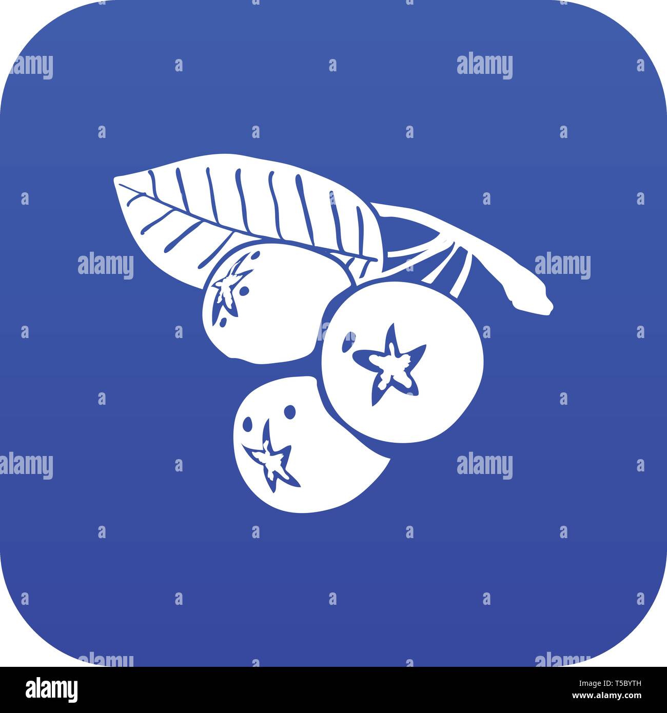 Blueberry icon blue vector Stock Vector Image & Art - Alamy
