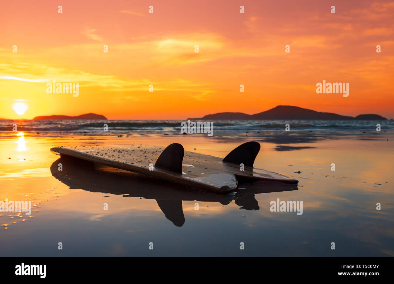 surfboard on the beach in sea shore at sunset time with beautiful light ...