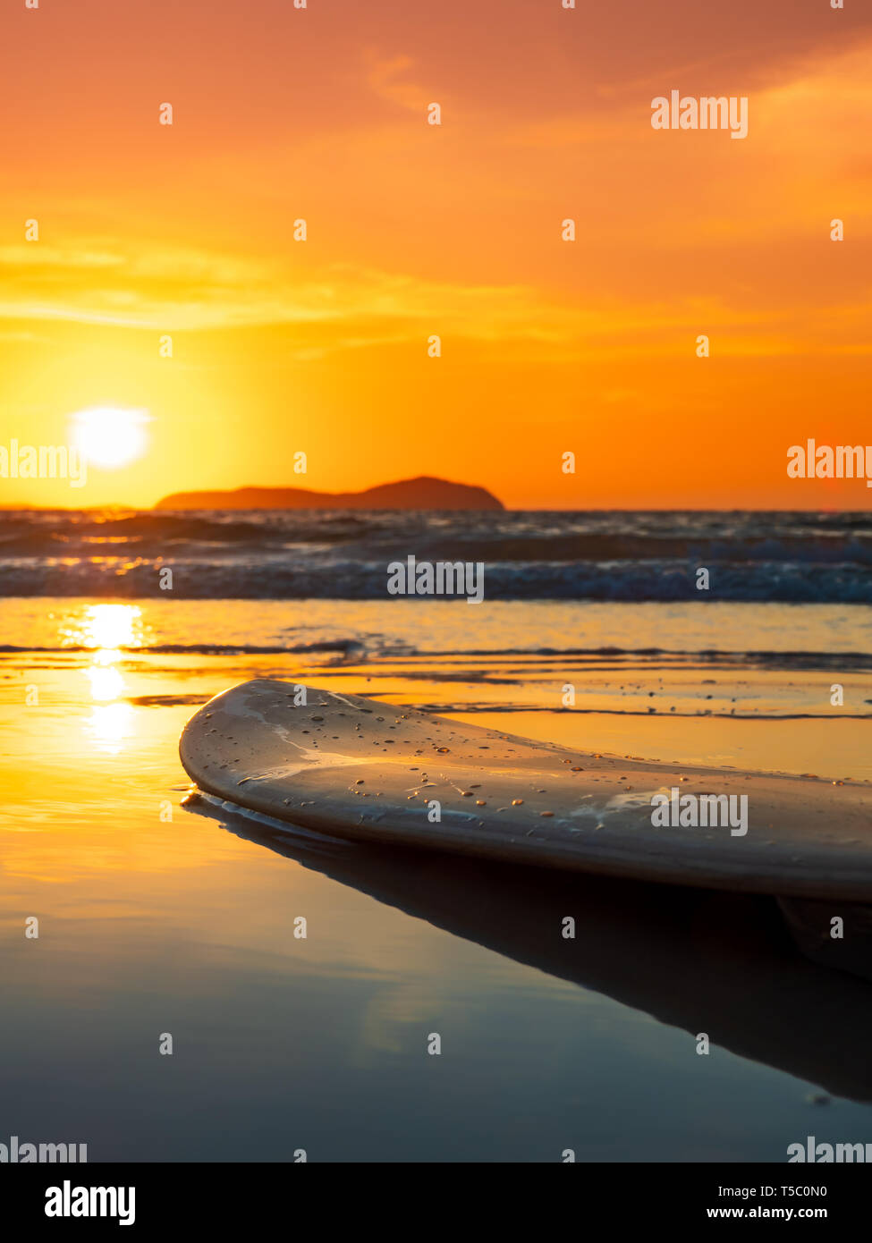 surfboard on the beach in sea shore at sunset time with beautiful light ...