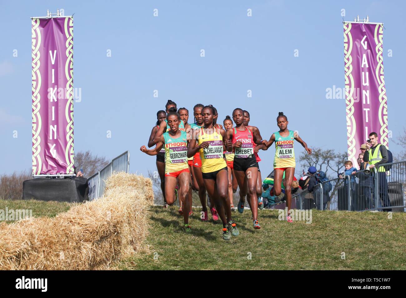 2022 Junior Olympics Cross Country