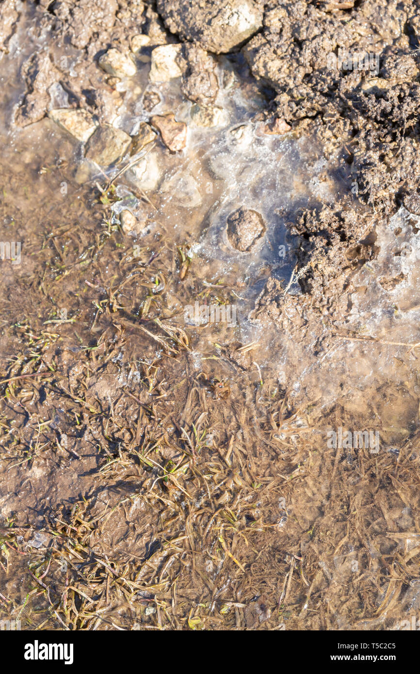 Spring flood carries the snow and turns into a puddle outside the city ...
