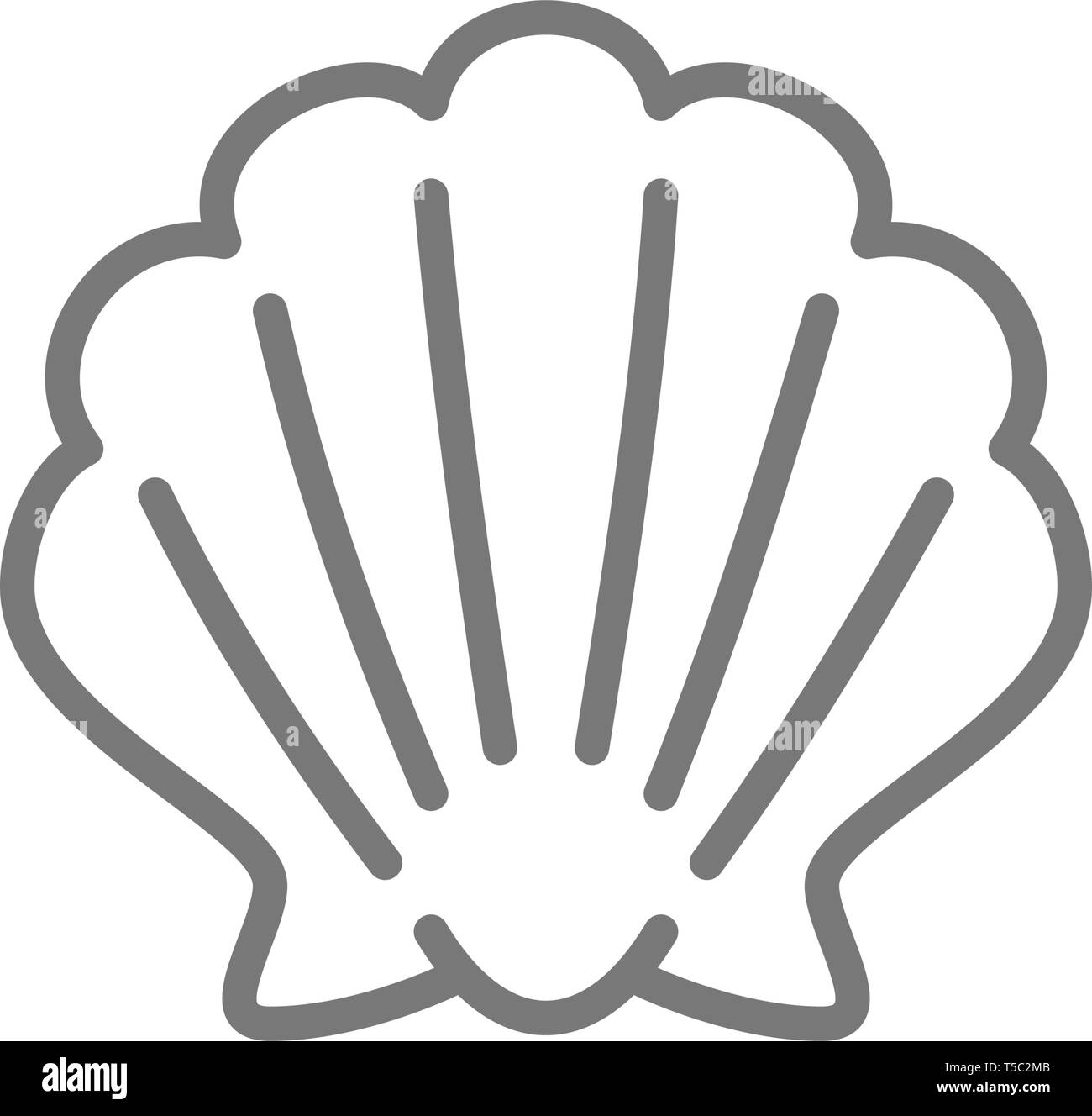 Shell, seashell line icon Stock Vector Image & Art - Alamy