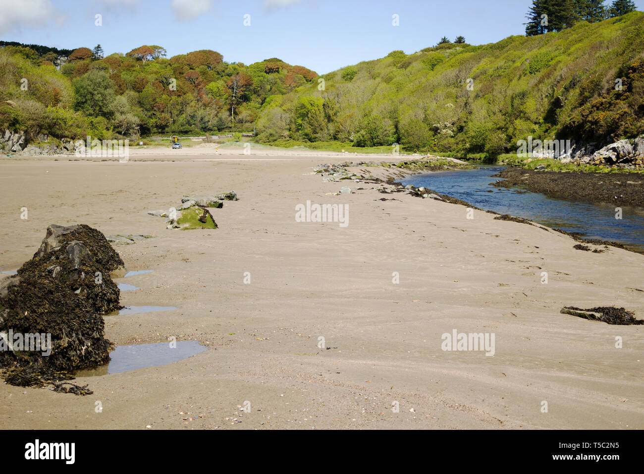 Stradbally Cove with River Tay flowing down from Comeragh Mountains and ...