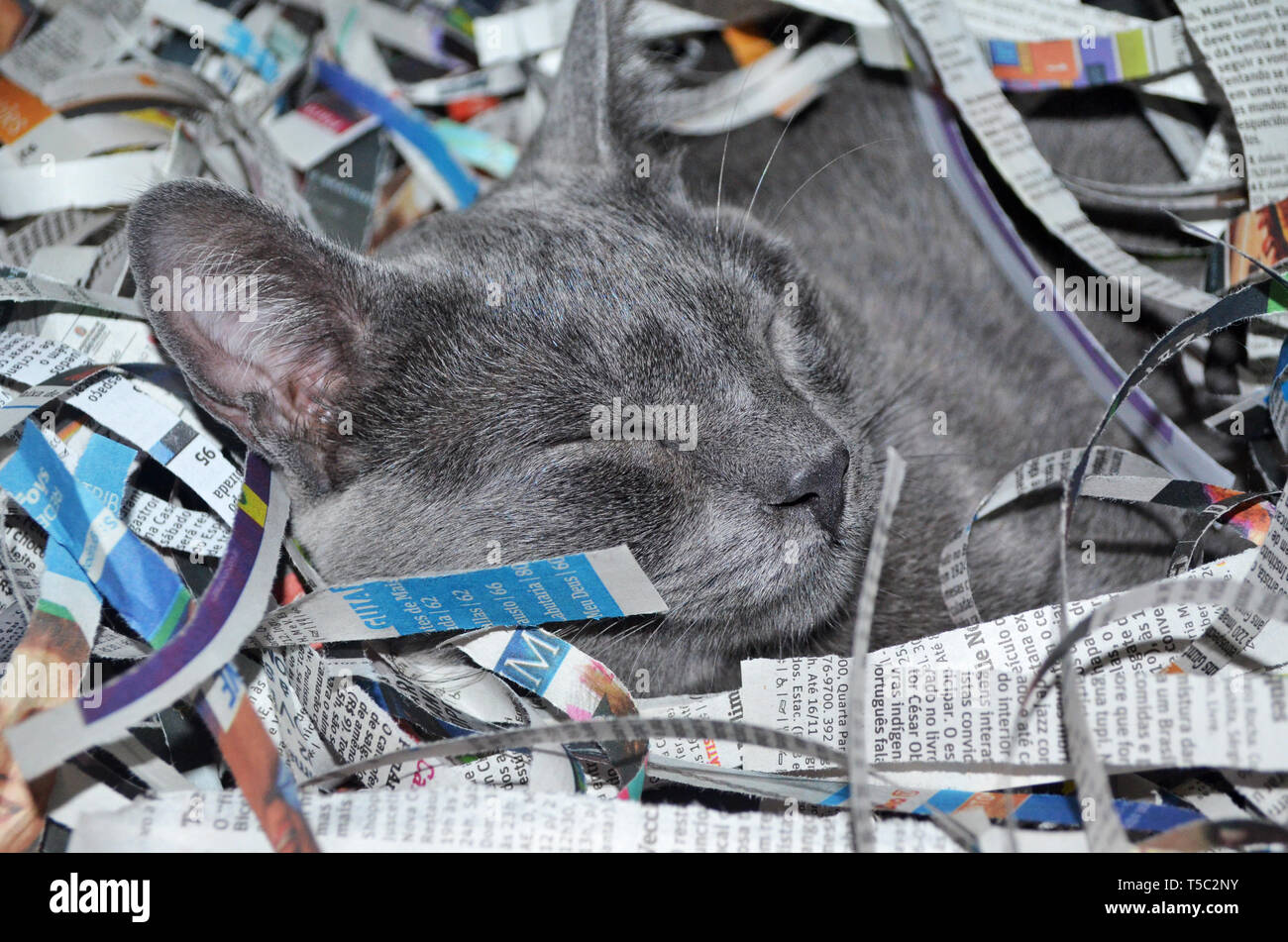 Calm sleep hi-res stock photography and images - Alamy