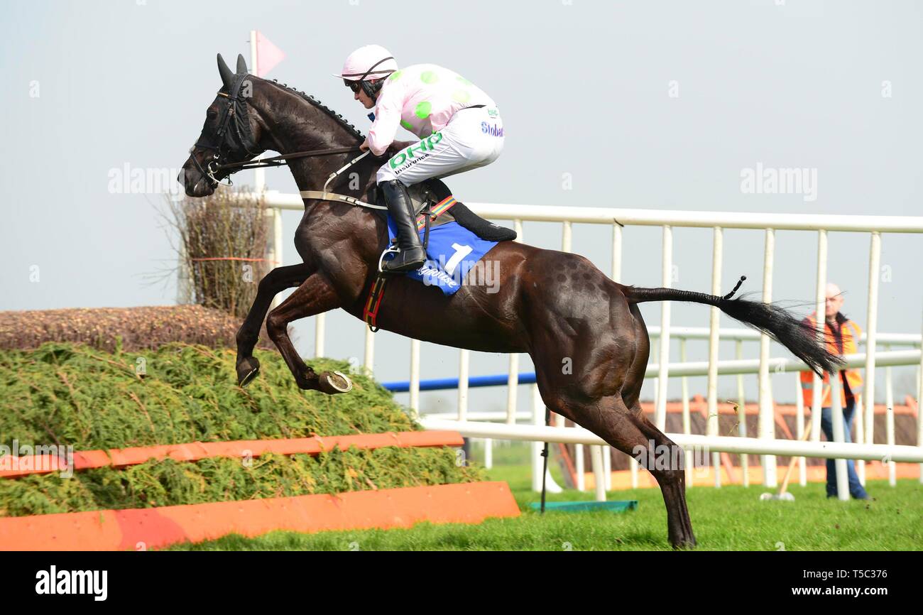 Camelia De Cotte and jockey Paul Townend jump the last to win the ...