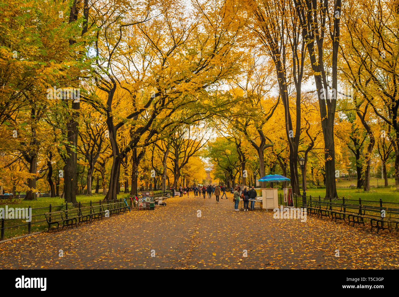 Walk in central park autumn hi-res stock photography and images - Alamy