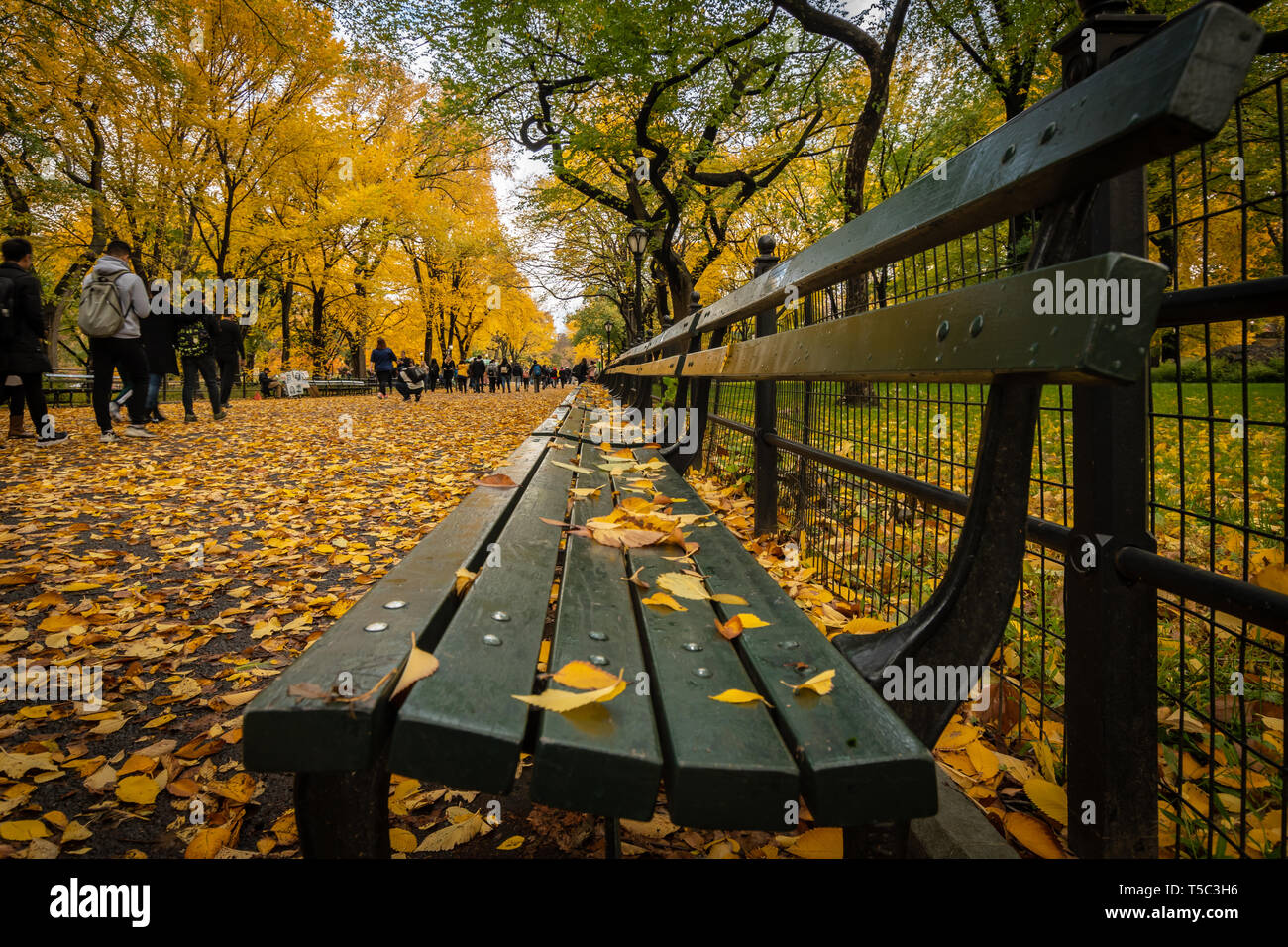 Walk in central park autumn hi-res stock photography and images - Alamy