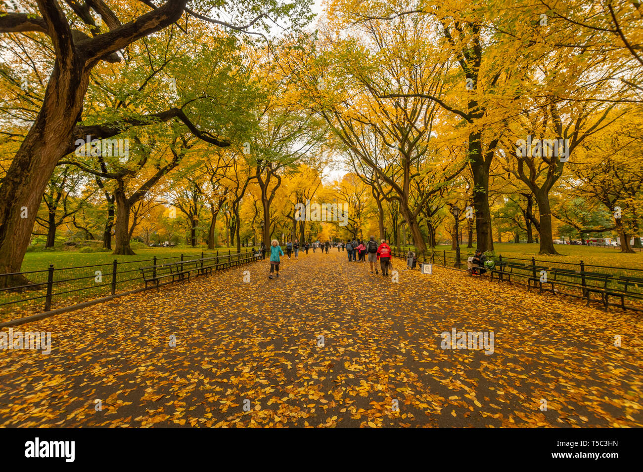 The famous Literacy Walk in Central Park Stock Photo - Alamy