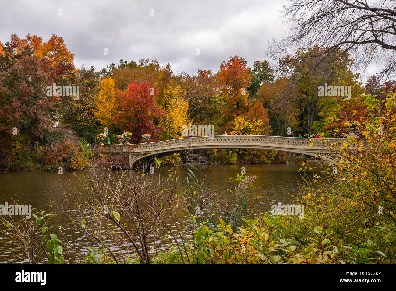 Bow Bridge, Central Park, in Autumn Stock Photo - Alamy