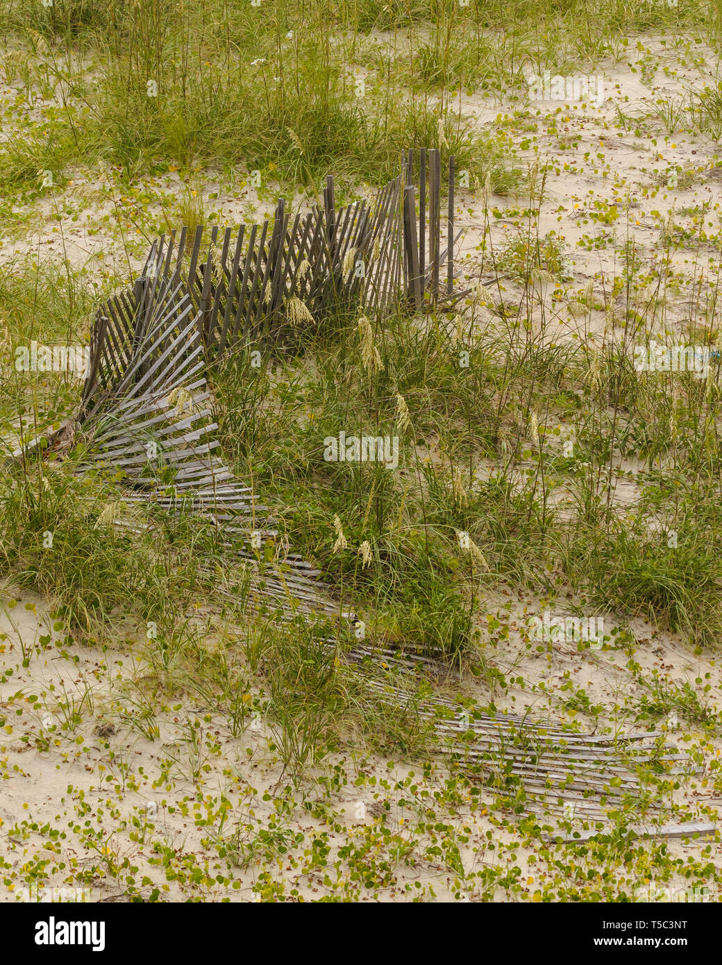 Sand dunes fence hi-res stock photography and images - Alamy