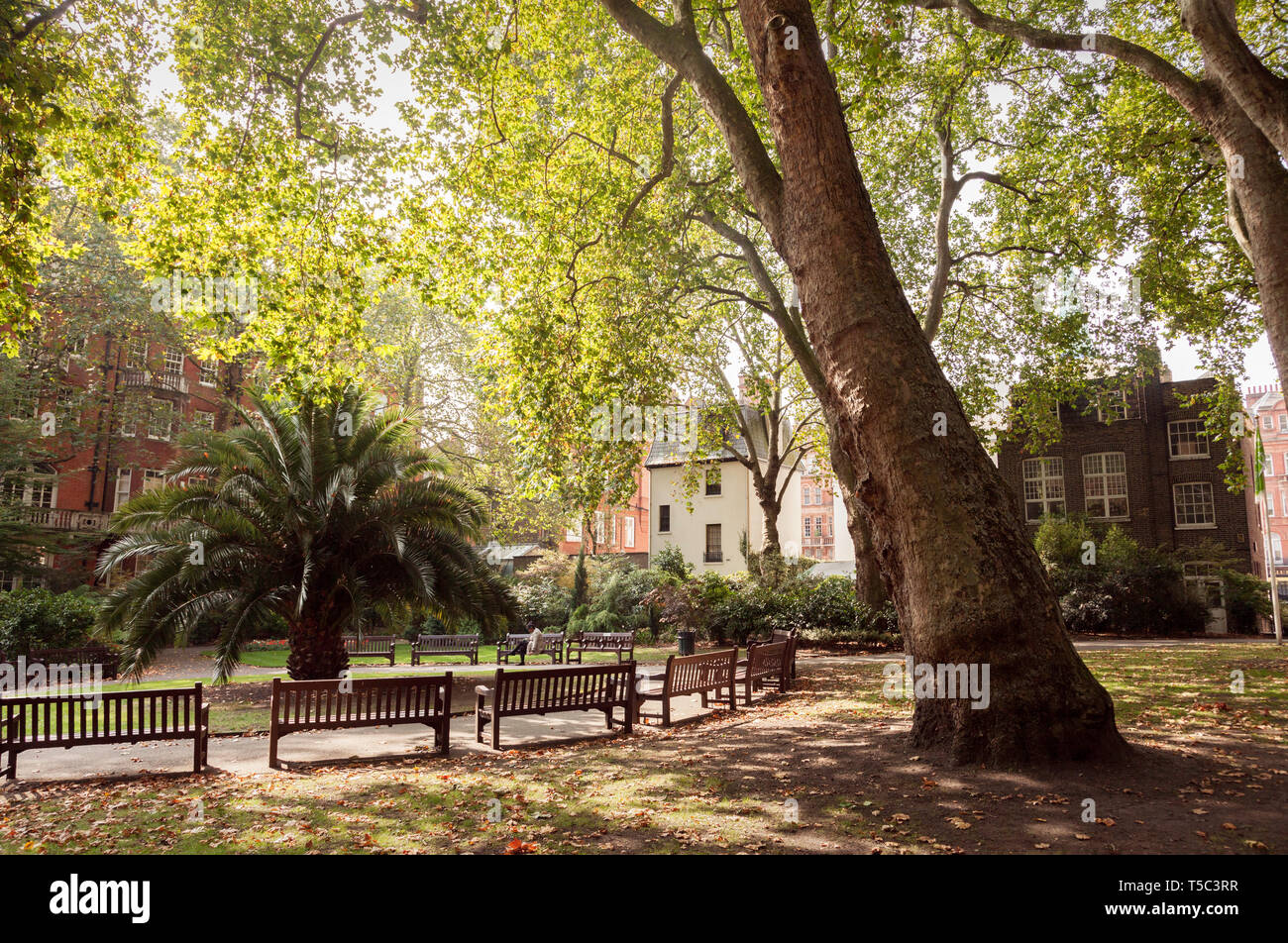 Mount Street gardens in Mayfair, London Stock Photo - Alamy