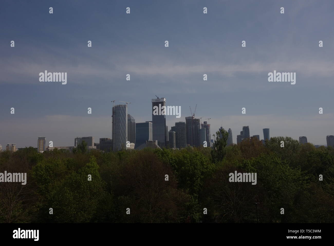 Canary Wharf from Stave Hill , Rotherhithe, London, UK Stock Photo - Alamy