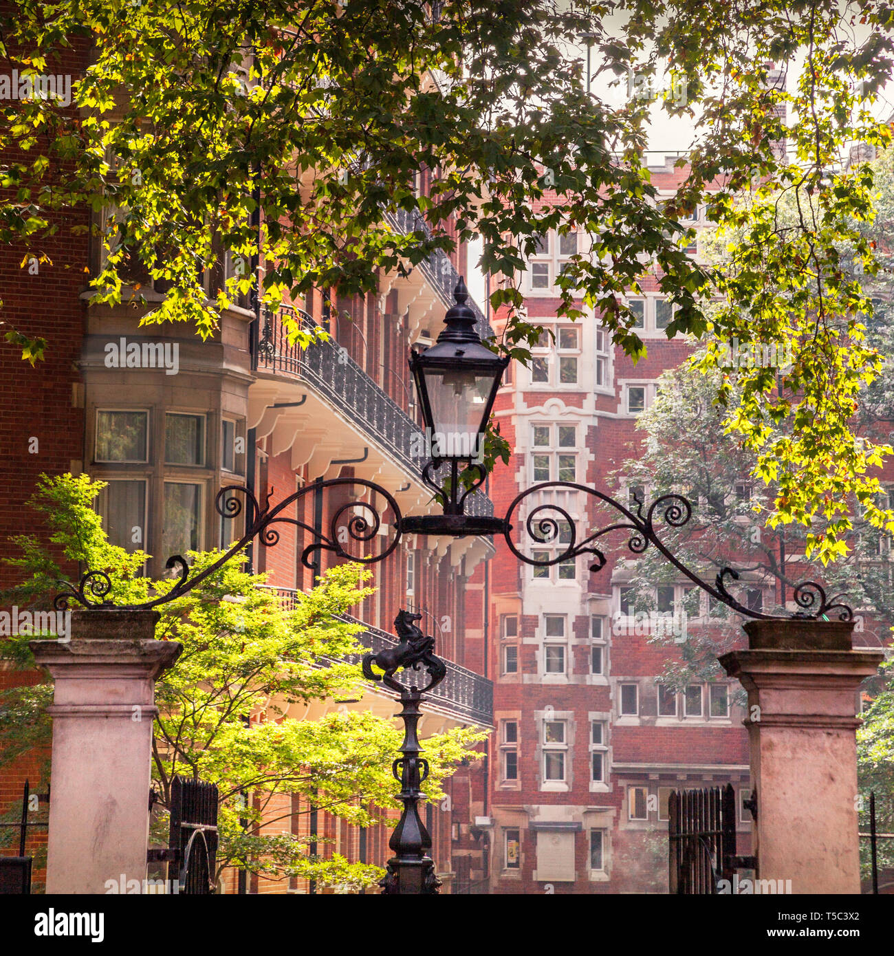 Low view mayfair street hi-res stock photography and images - Alamy