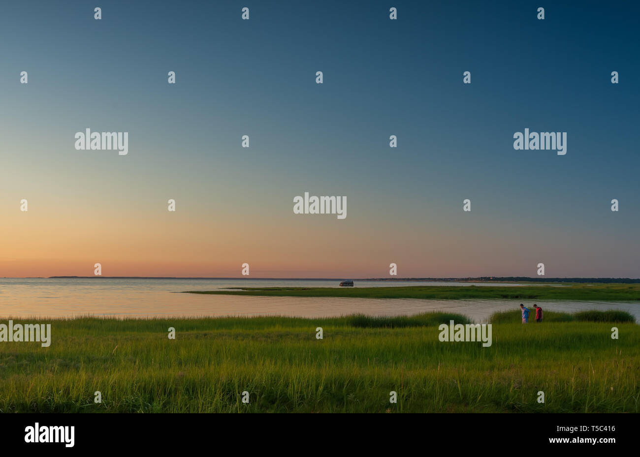 Beachcombers along Cape Cod Bay Stock Photo - Alamy