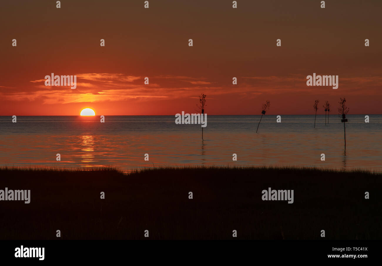 Cape cod bay hi-res stock photography and images - Alamy