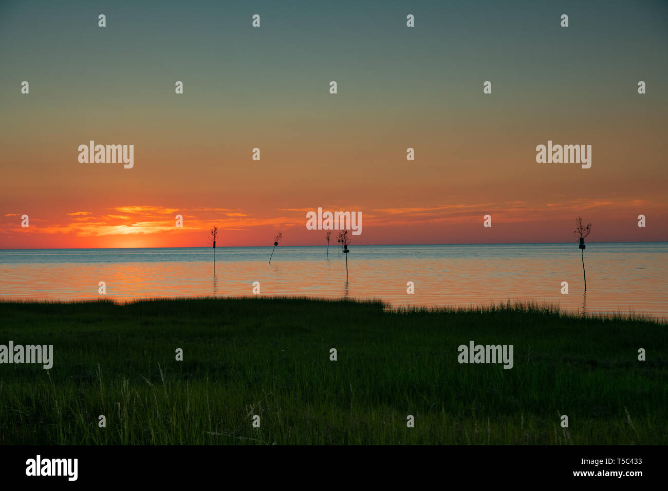 Cape cod bay hi-res stock photography and images - Alamy