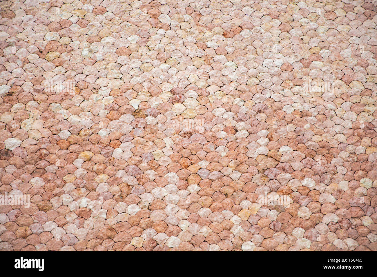 Scale stone hi-res stock photography and images - Alamy