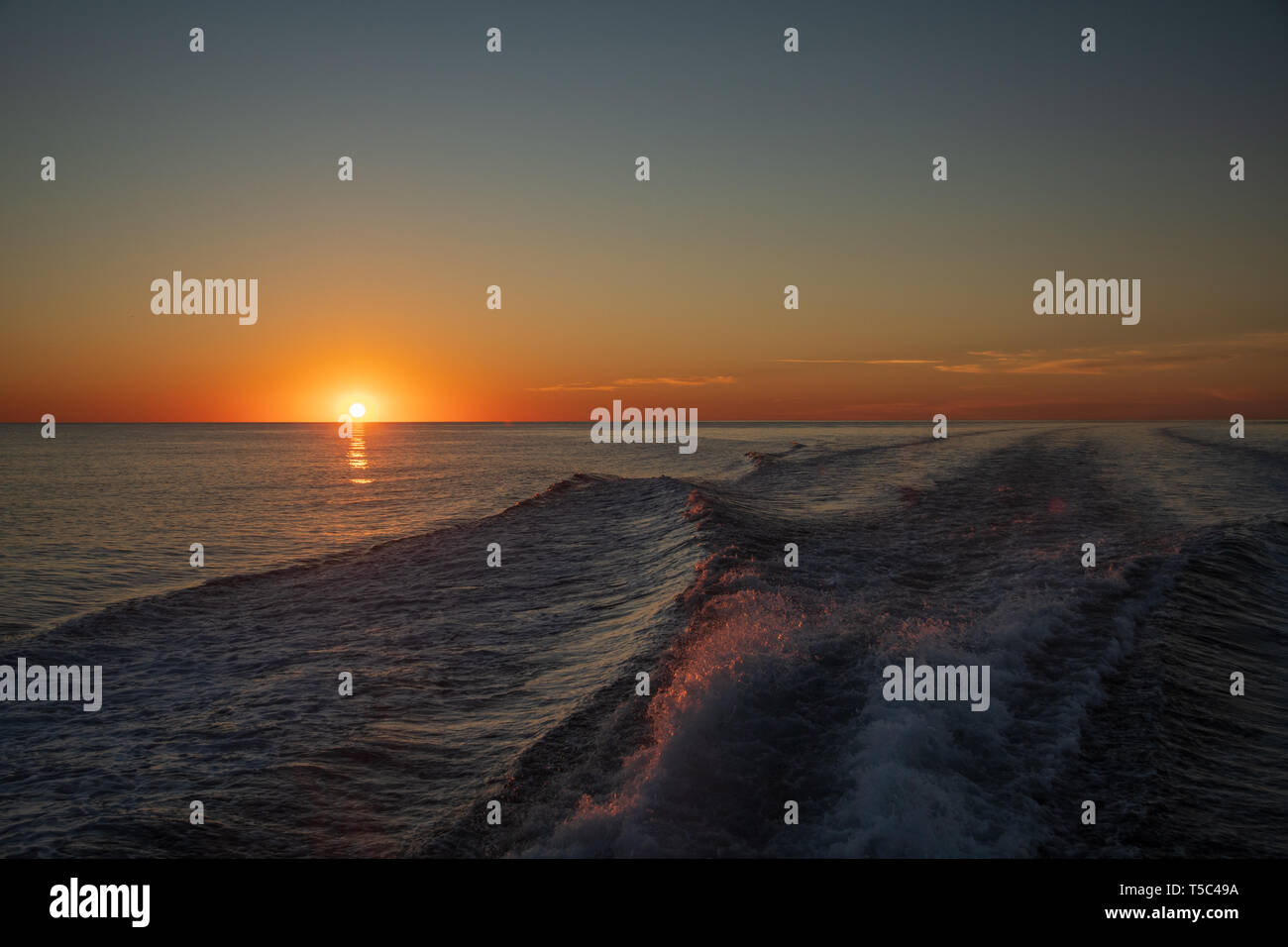 Whale watch cape cod hi-res stock photography and images - Alamy