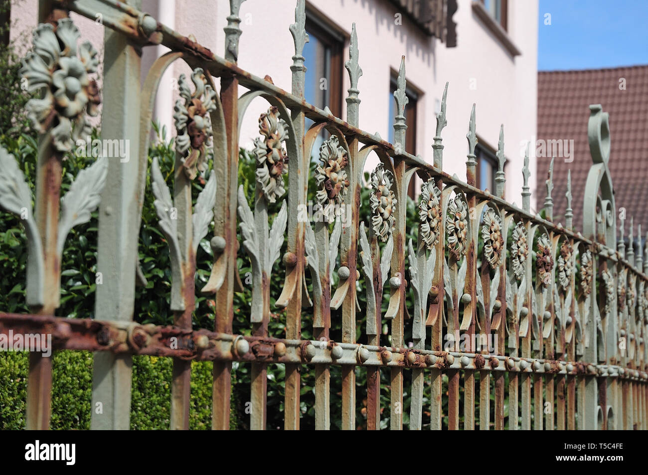 rusty old wrought-iron fence with floral ornamental elements at a ...