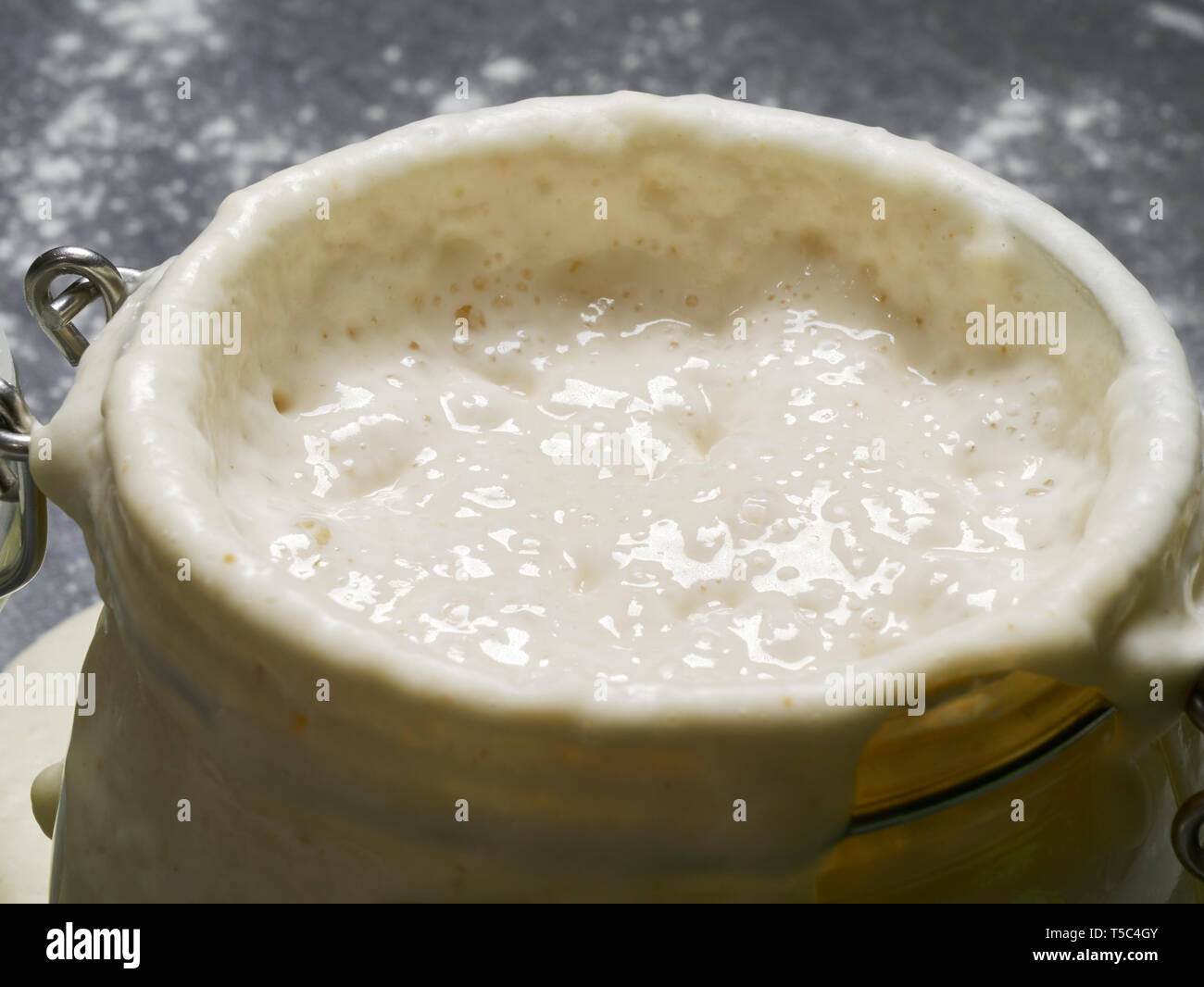 A fed active sourdough poolish bread starter for makers Stock Photo - Alamy