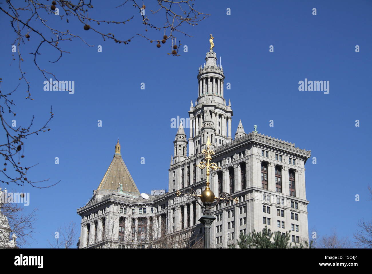 The New York City Hall seen from the City Hall Park in Manhattan, NYC ...