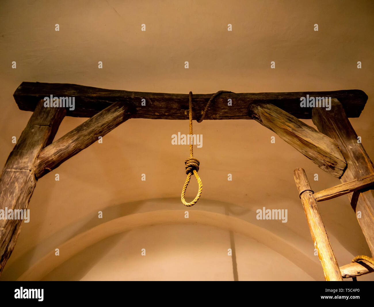 VARPALOTA, HUNGARY - APRIL 13, 2019: View on a gallows tree in the ...