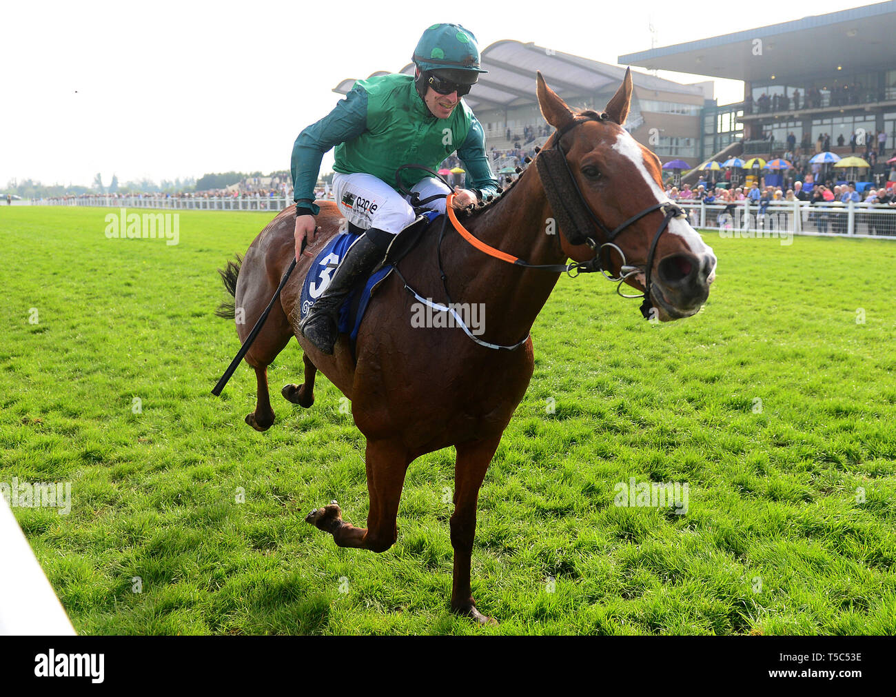 Jockey barry oneill on hi-res stock photography and images - Alamy