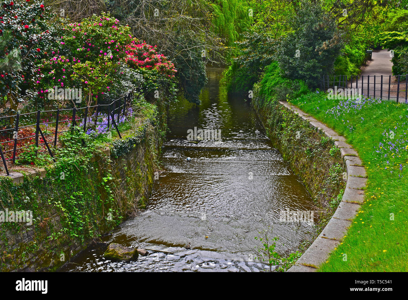 Overflow stream hi-res stock photography and images - Alamy
