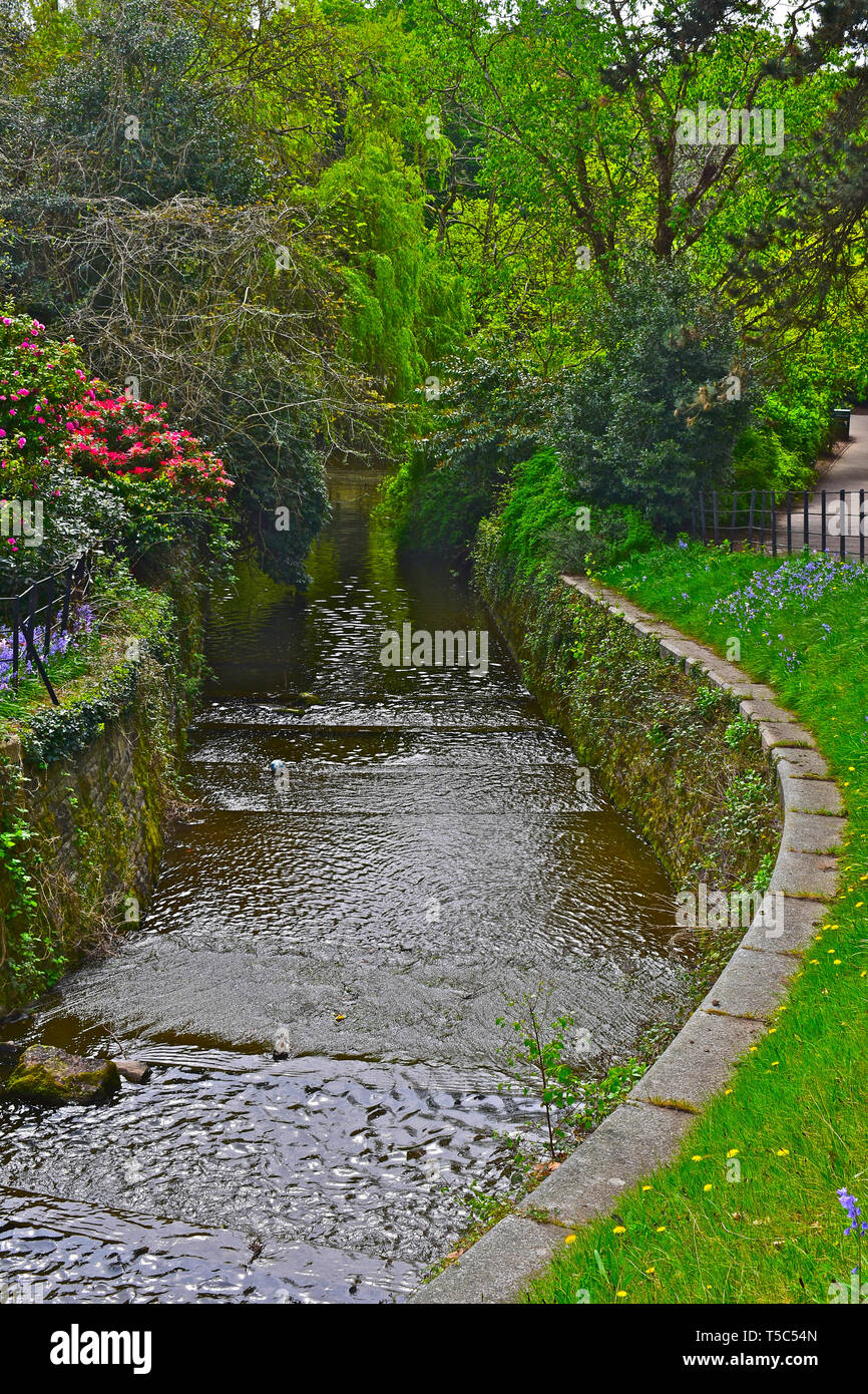 The pretty overflow stream from Roath Park Lake runs in steps down ...
