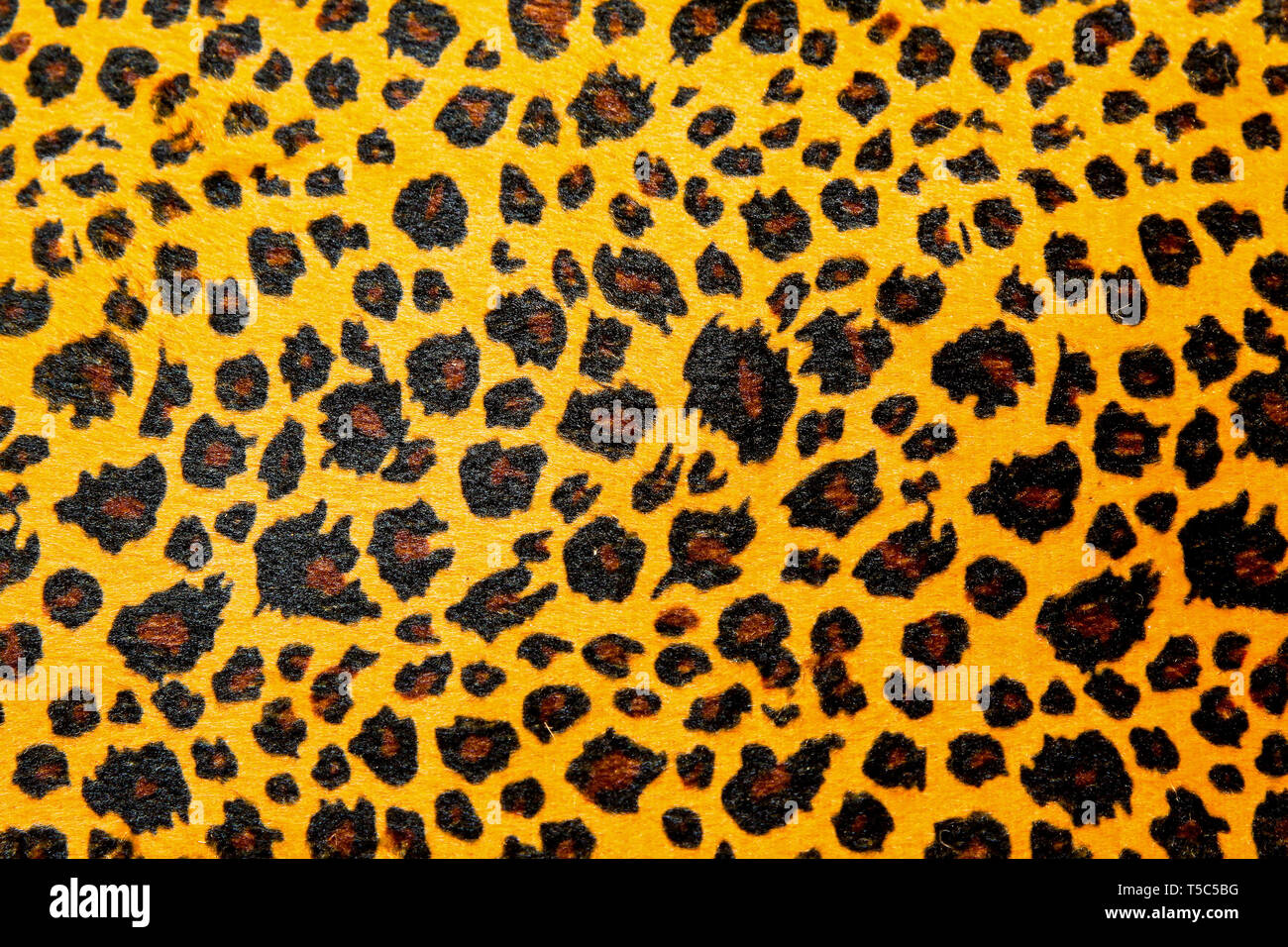 Detailed pattern of leopard animal print texture Stock Photo - Alamy