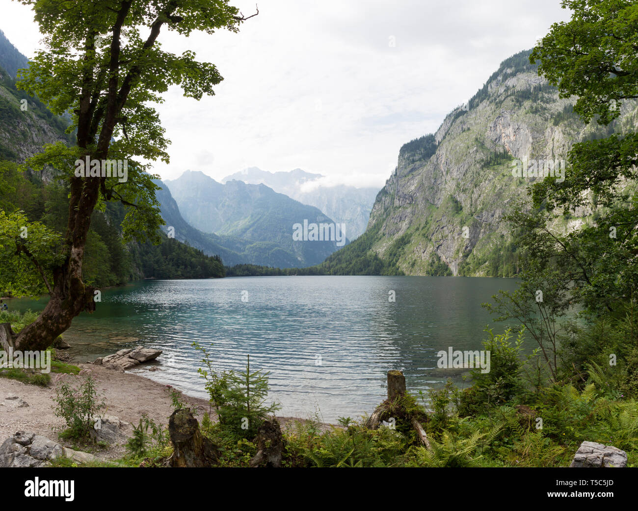 Obersee hi-res stock photography and images - Alamy