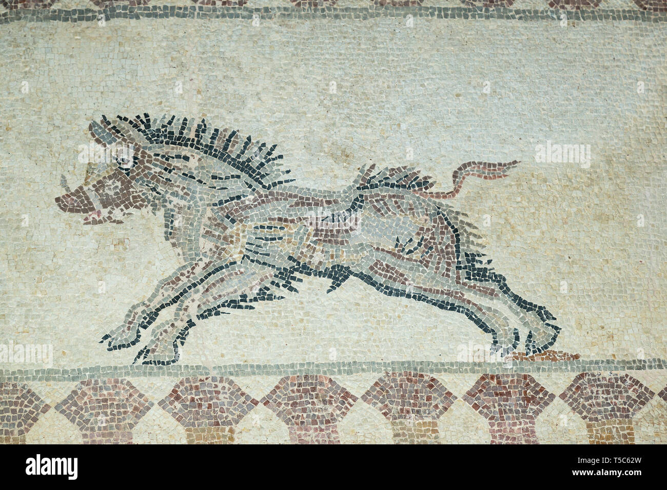 Mosaic depiction of a wild boar, House of Dionysos, Paphos ...