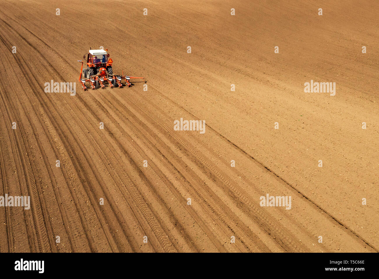 Aerial view of tractor sowing and planting corn in field, agricultural ...