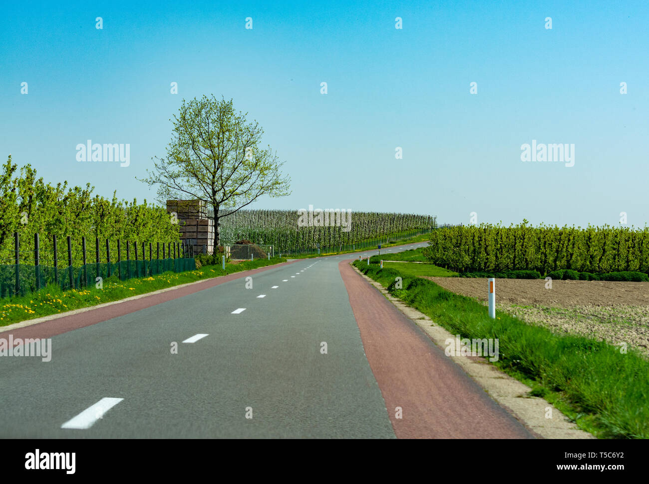Asphalt road and spring landscape with farmers plowed fields and green ...