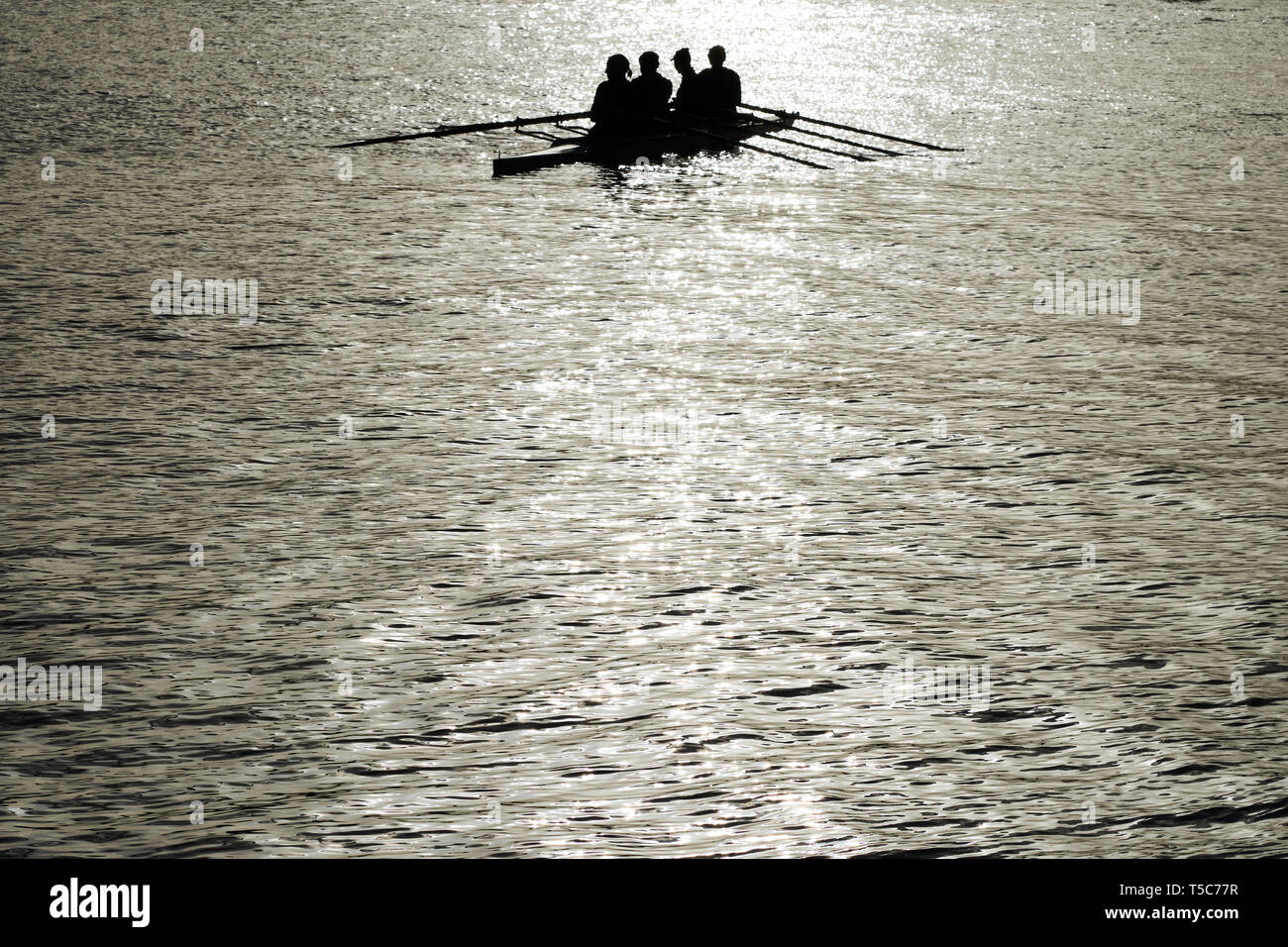 Silhouette of rowers on a river hi-res stock photography and images - Alamy