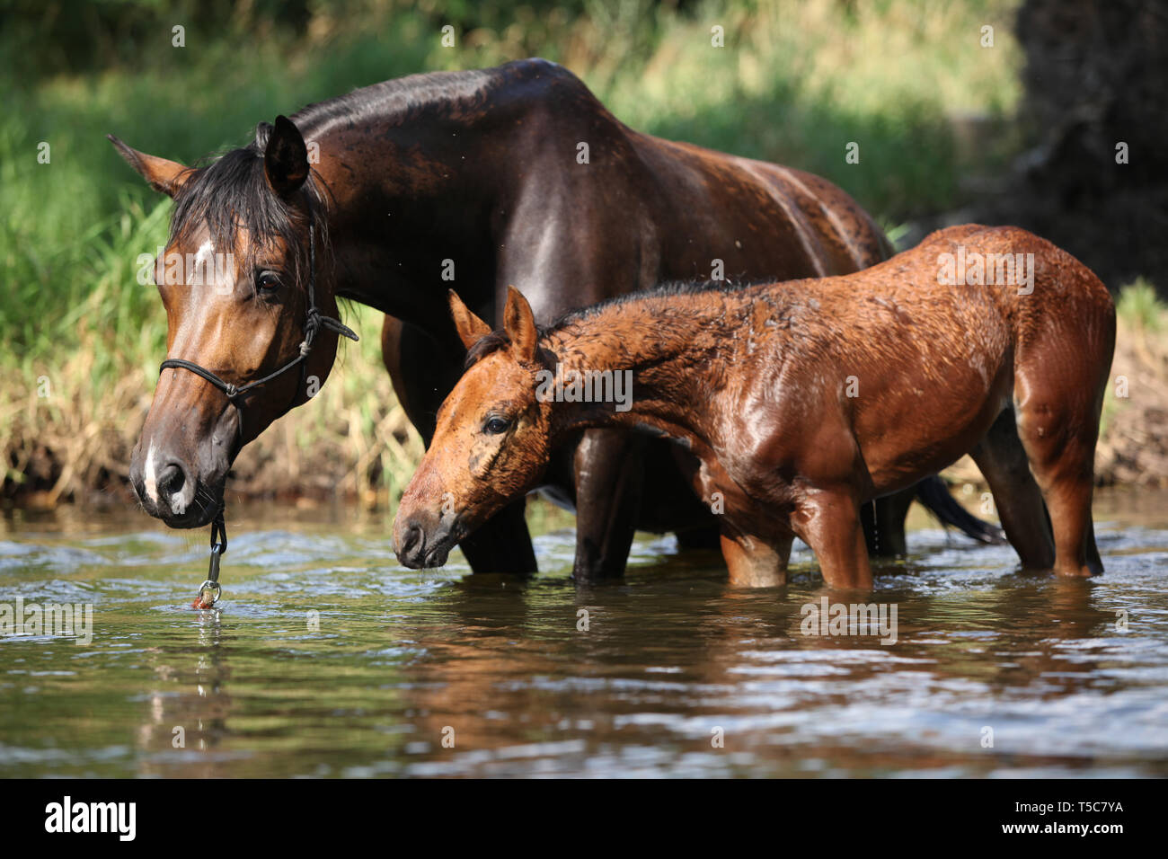 Nice time still hi-res stock photography and images - Alamy