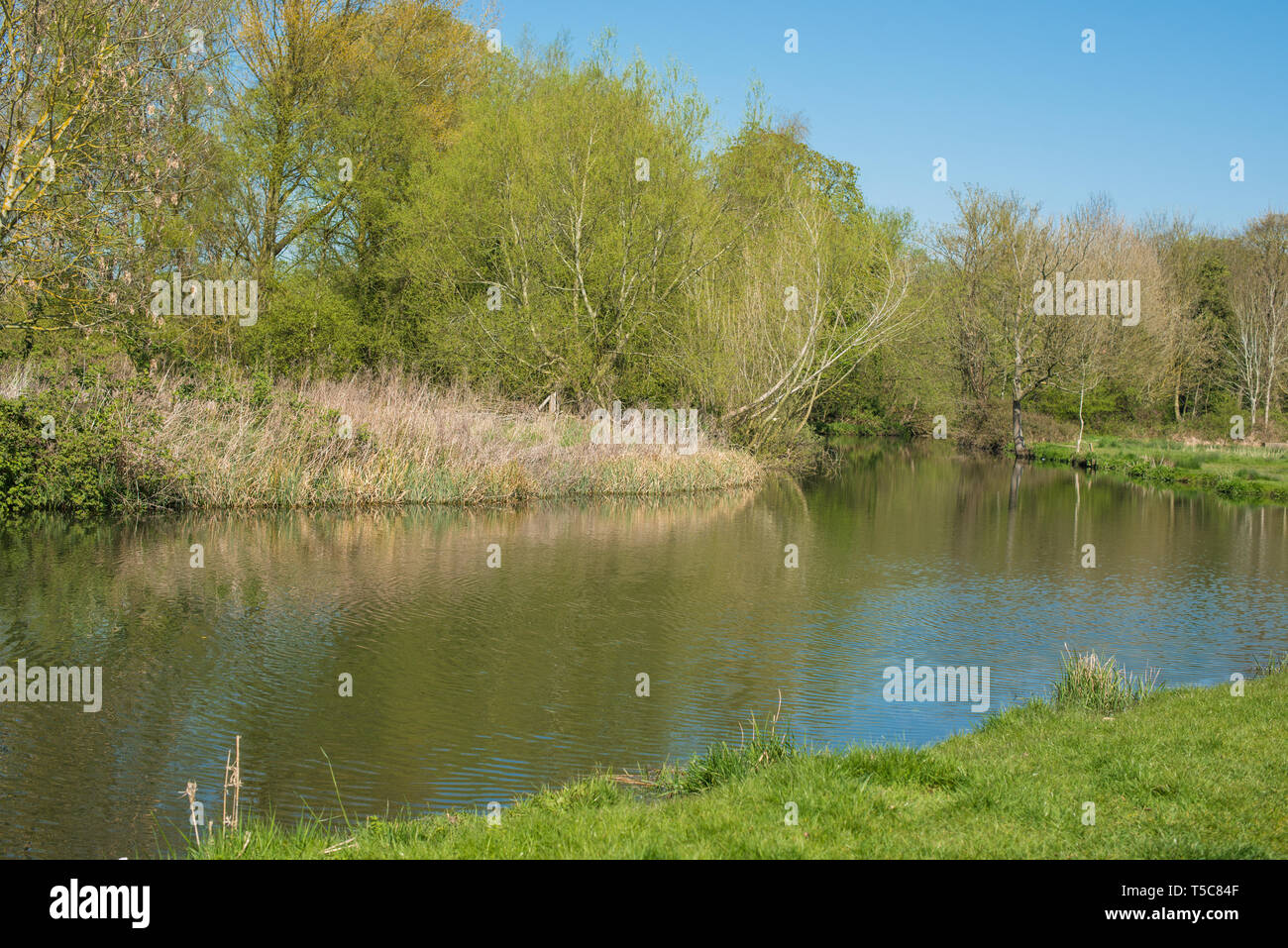 River Yare at Whitlingham Country Park on the outskirts of Norwich city ...