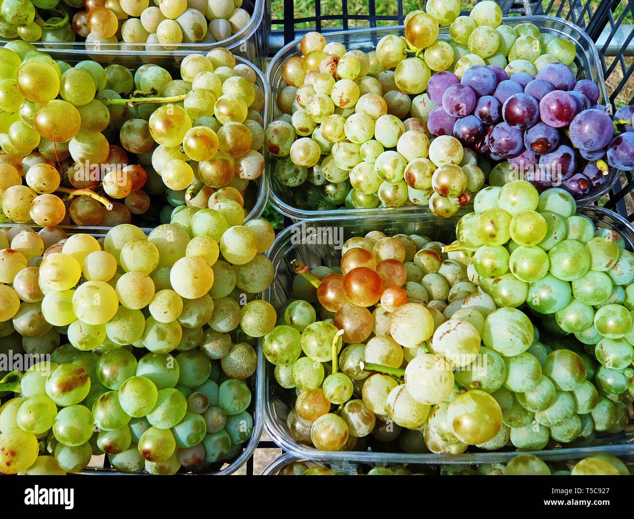 Grapes on sale in outdoor market Stock Photo - Alamy