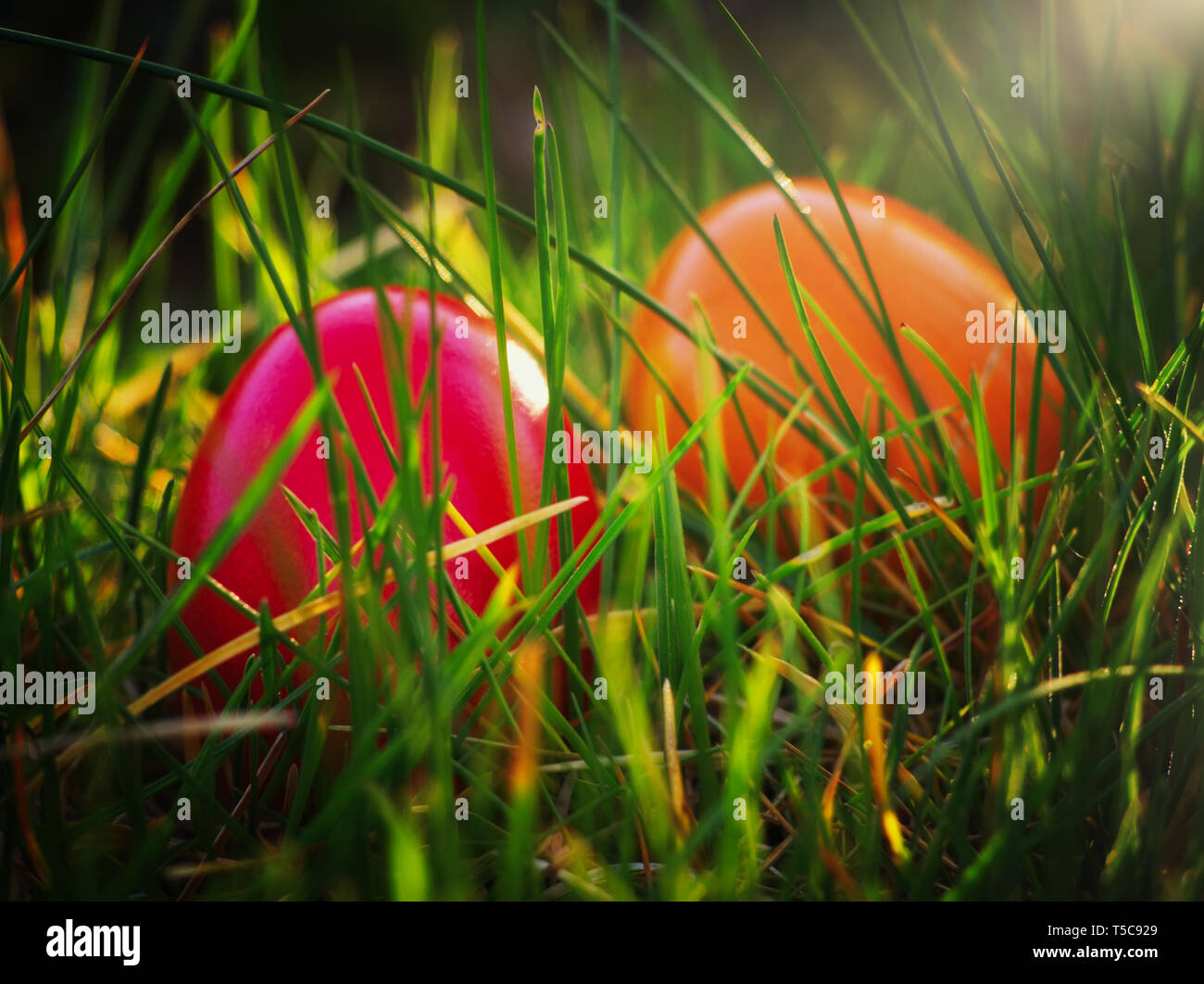 happy easter eggs Stock Photo - Alamy