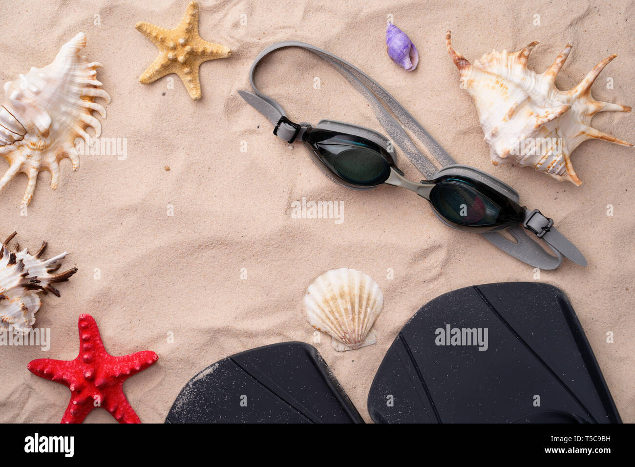 Flippers hi-res stock photography and images - Alamy