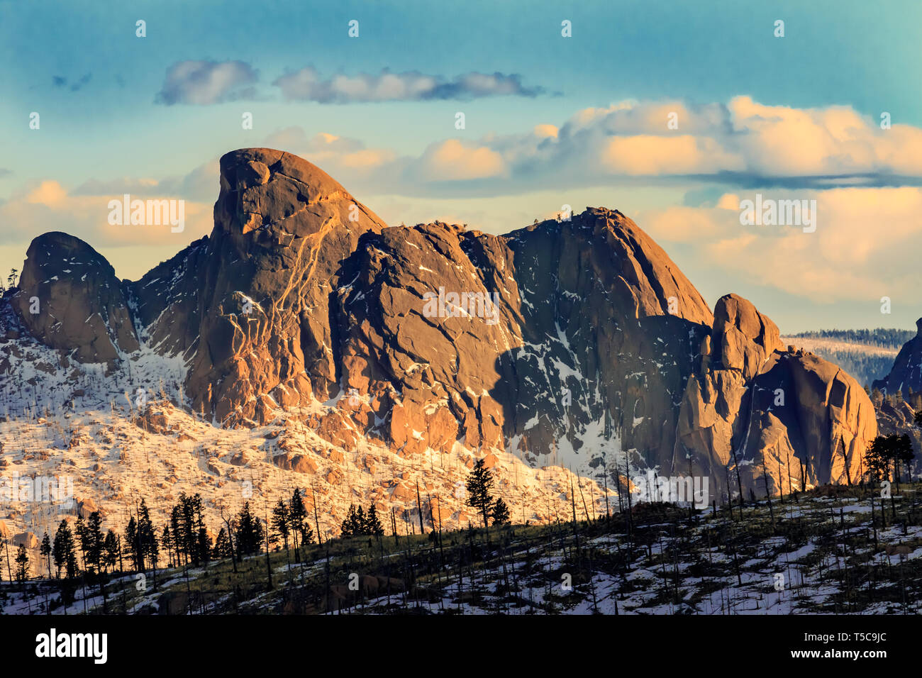 Mueller state park colorado hi-res stock photography and images - Alamy